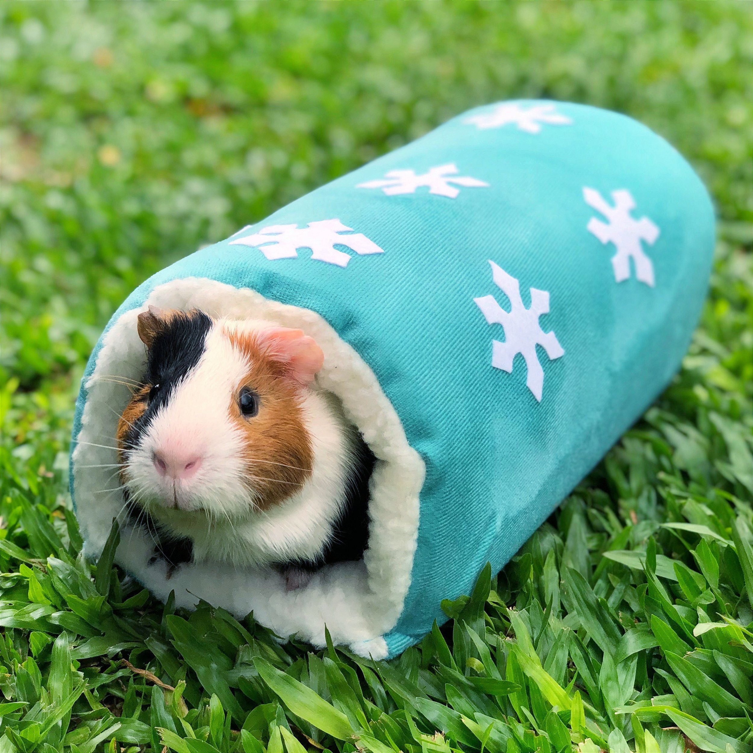 T nel Do Olaf Guinea Pig Props t-nel-do-olaf-guinea-pig-props