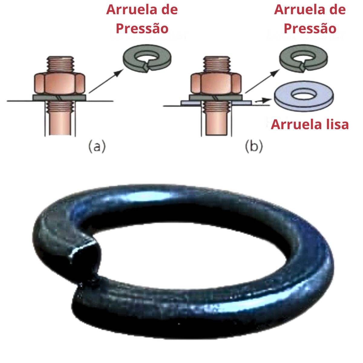 Arruela de Pressão Polida Milimétrica Reforçaca Aço Carbono - Parafusos ...