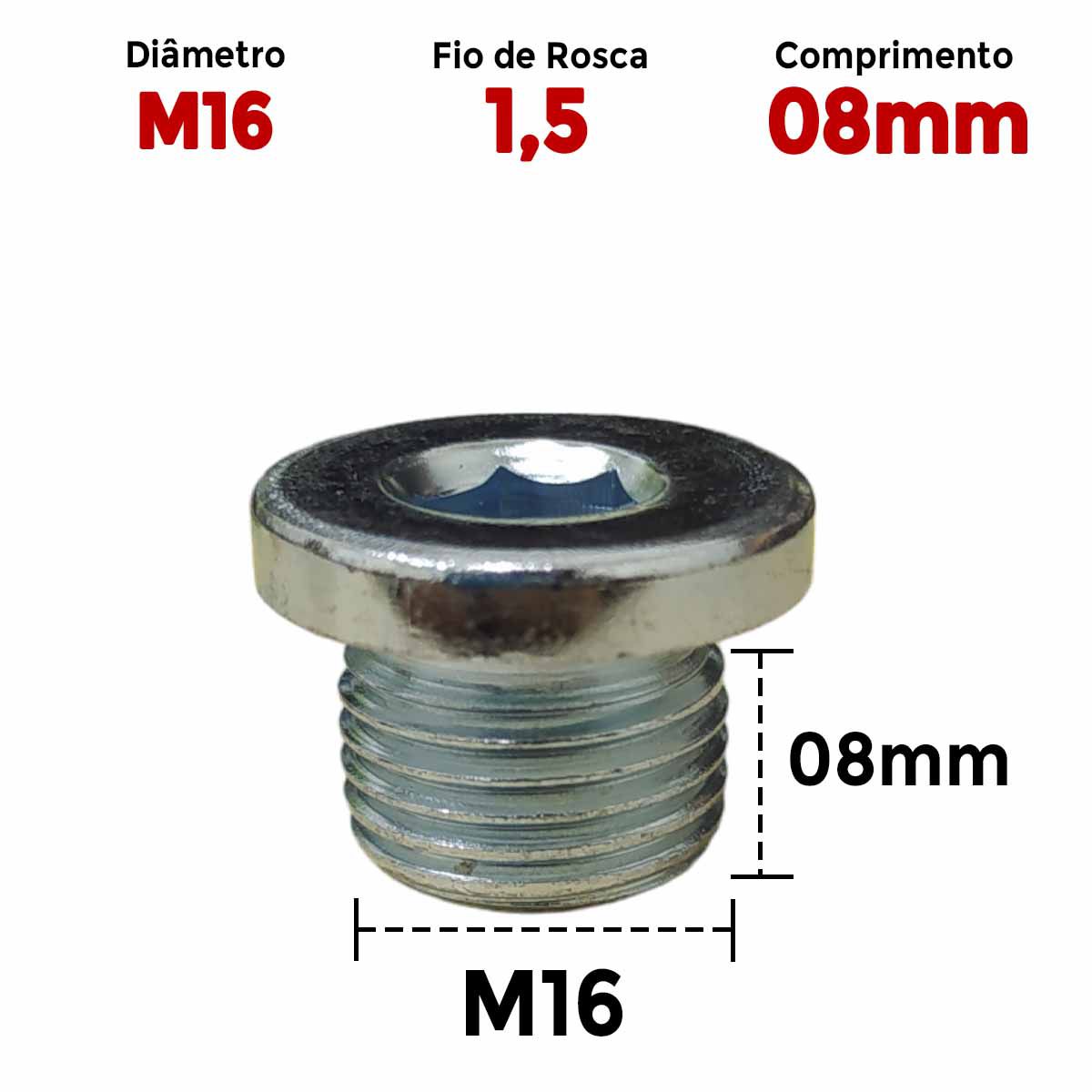 Bujão Carter M16x08mm F 1,5 Allen Mercedes OM352/366 904/906 - Parafusos e Ferramentas Especiais