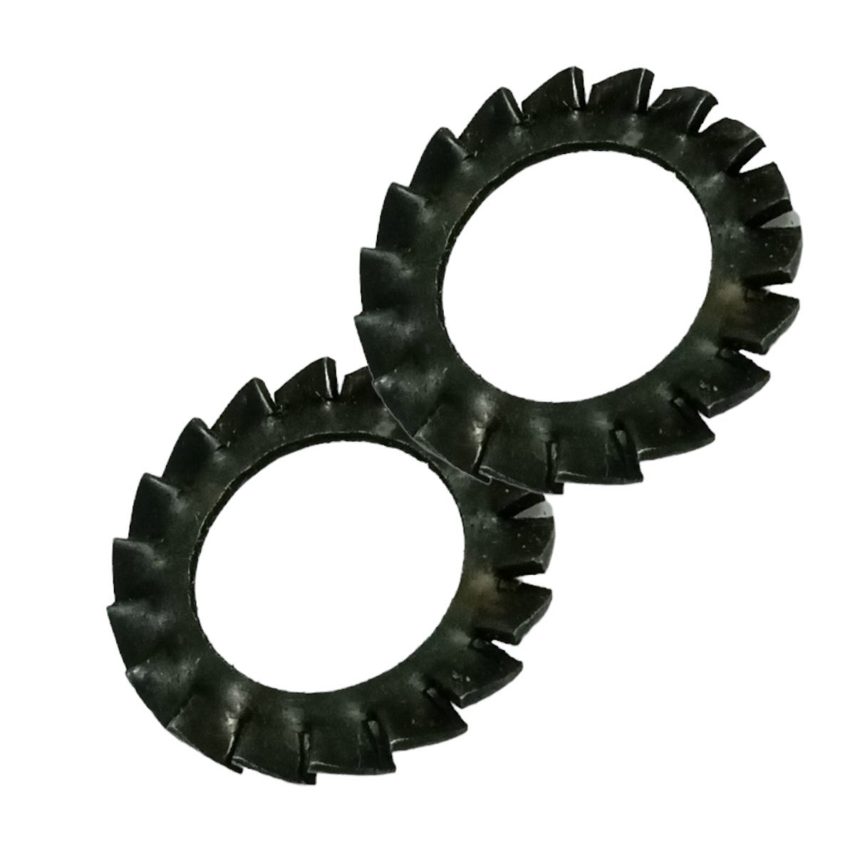 Arruela Dentada Externa Serrilhada em Aço Mola Enegrecido - Parafusos e ...