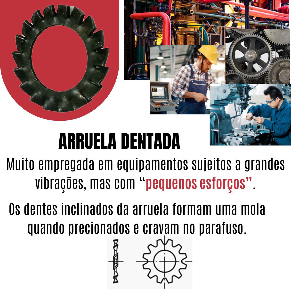 Arruela Dentada Externa Serrilhada em Aço Mola Enegrecido - Parafusos e ...