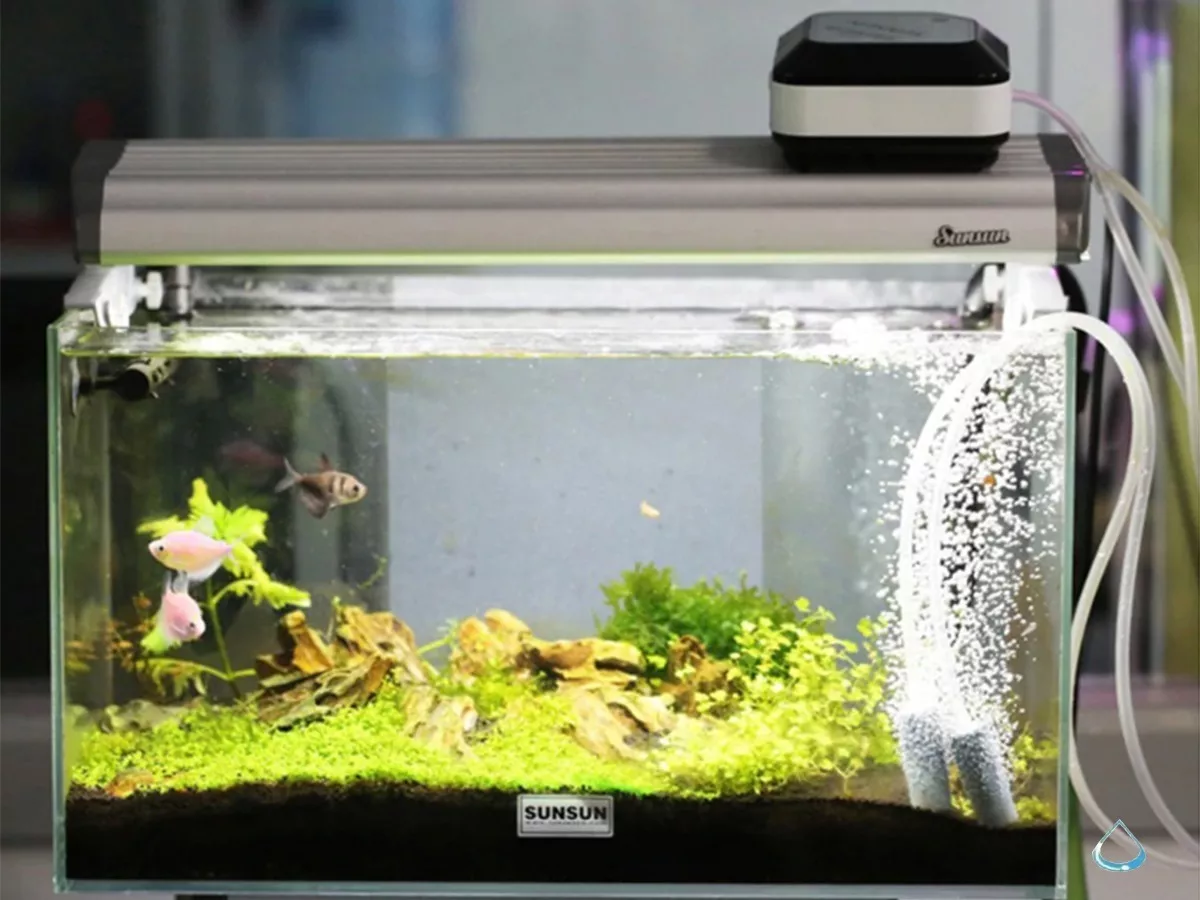 Compressor De Ar Aquário Oxigenador Nobreak Cp-201 Sunsun Bivolt - Franco Aquarismo | A Nº1 ...