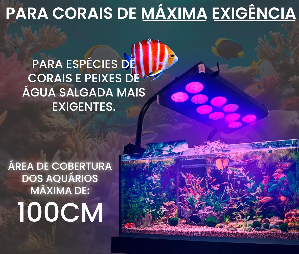 Luminária Solara Plus - Franco Aquarismo | A Nº1 quando se trata de ...