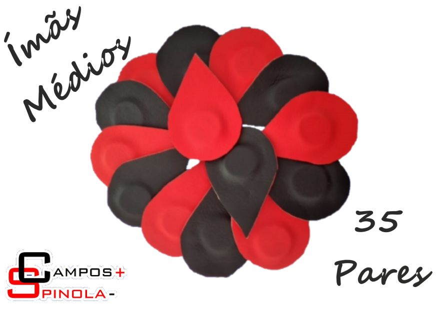 35 Pares de Ímãs Médios - Campos Spinola - Materiais para Biomagnetismo