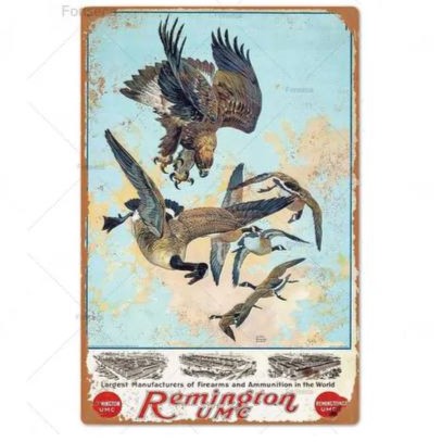 Placa Decorativa 11 Remington - Texas Indian
