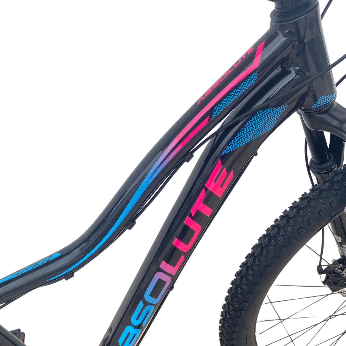 Bicicleta Absolute Hera Feminina MTB Aro 29 Preto/Rosa/Azul ...