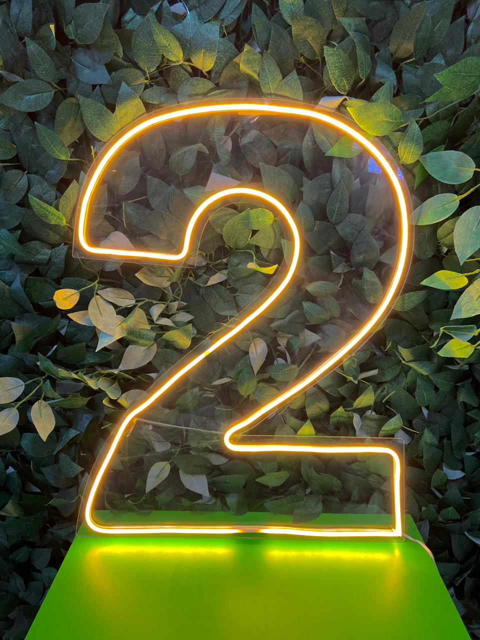 Luminoso Led - N2 - Folia Ateliê - Locação de Decorações