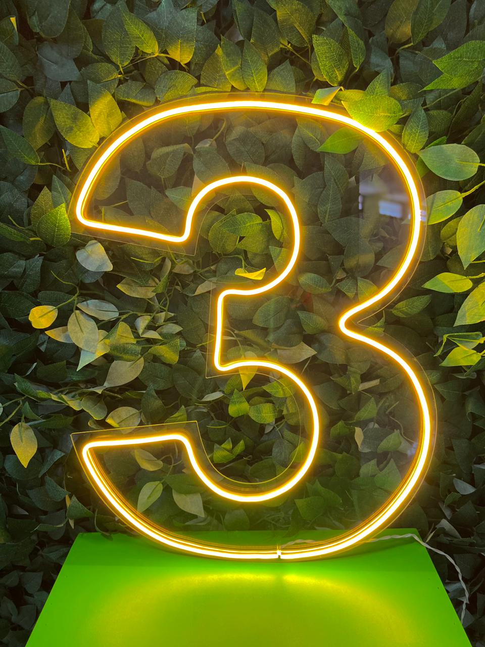 Luminoso Led - N3 - Folia Ateliê - Locação de Decorações