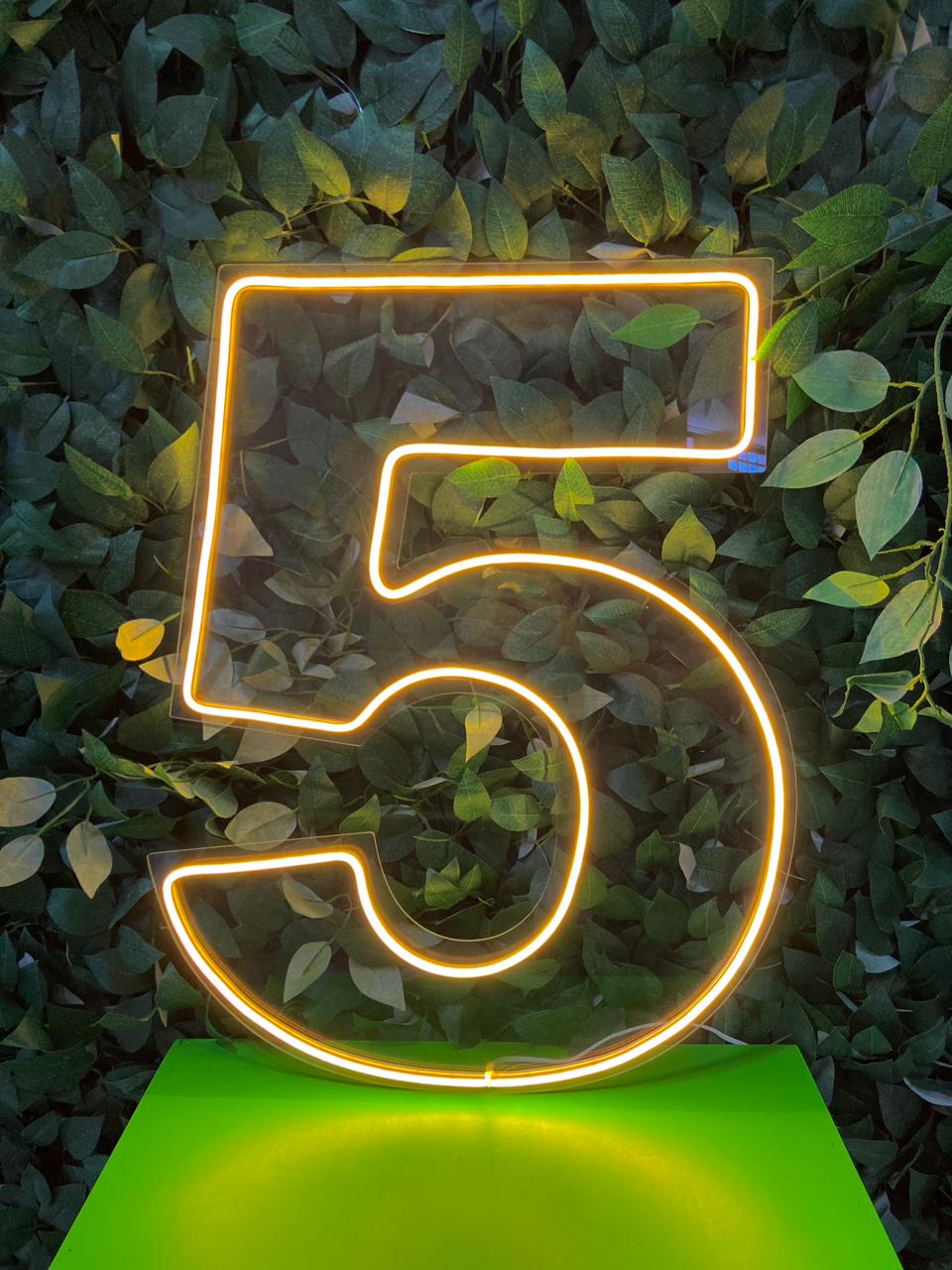 Luminoso Led - N5 - Folia Ateliê - Locação de Decorações