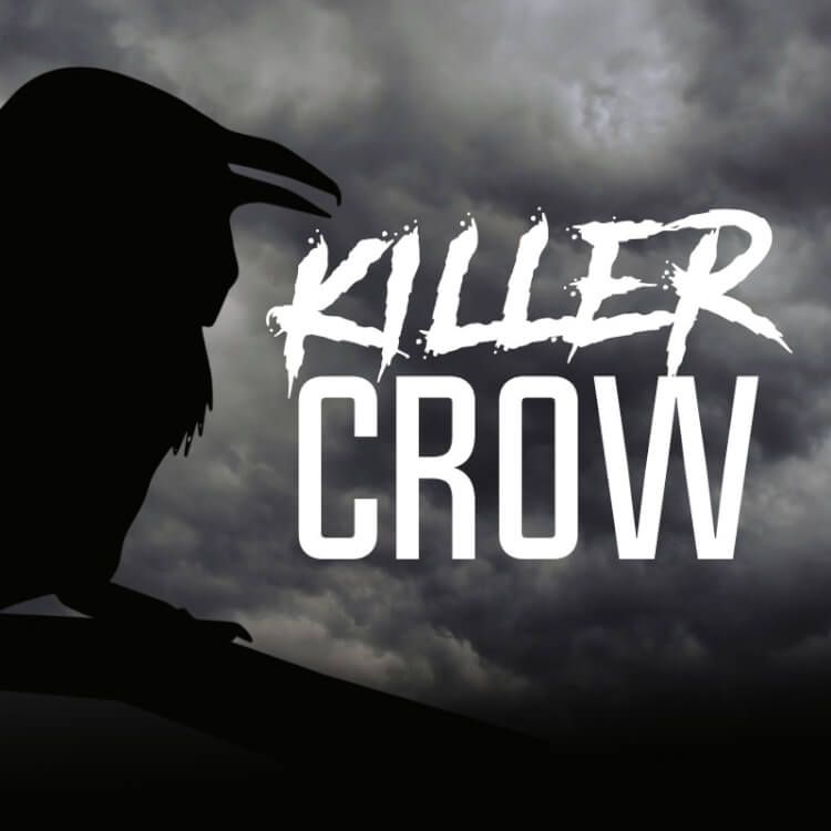 Kit Receita Cerveja Fácil Killer Crown - 10 litros - Insumos do Vale ...