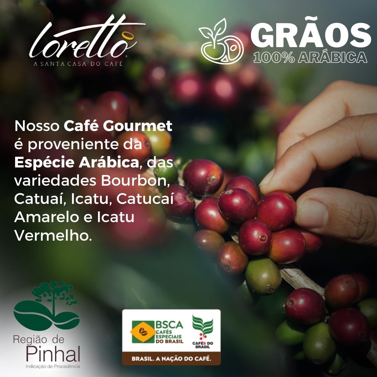 Café em Grãos Torrado e Moído Arábica Loretto Qualidade Superior ...