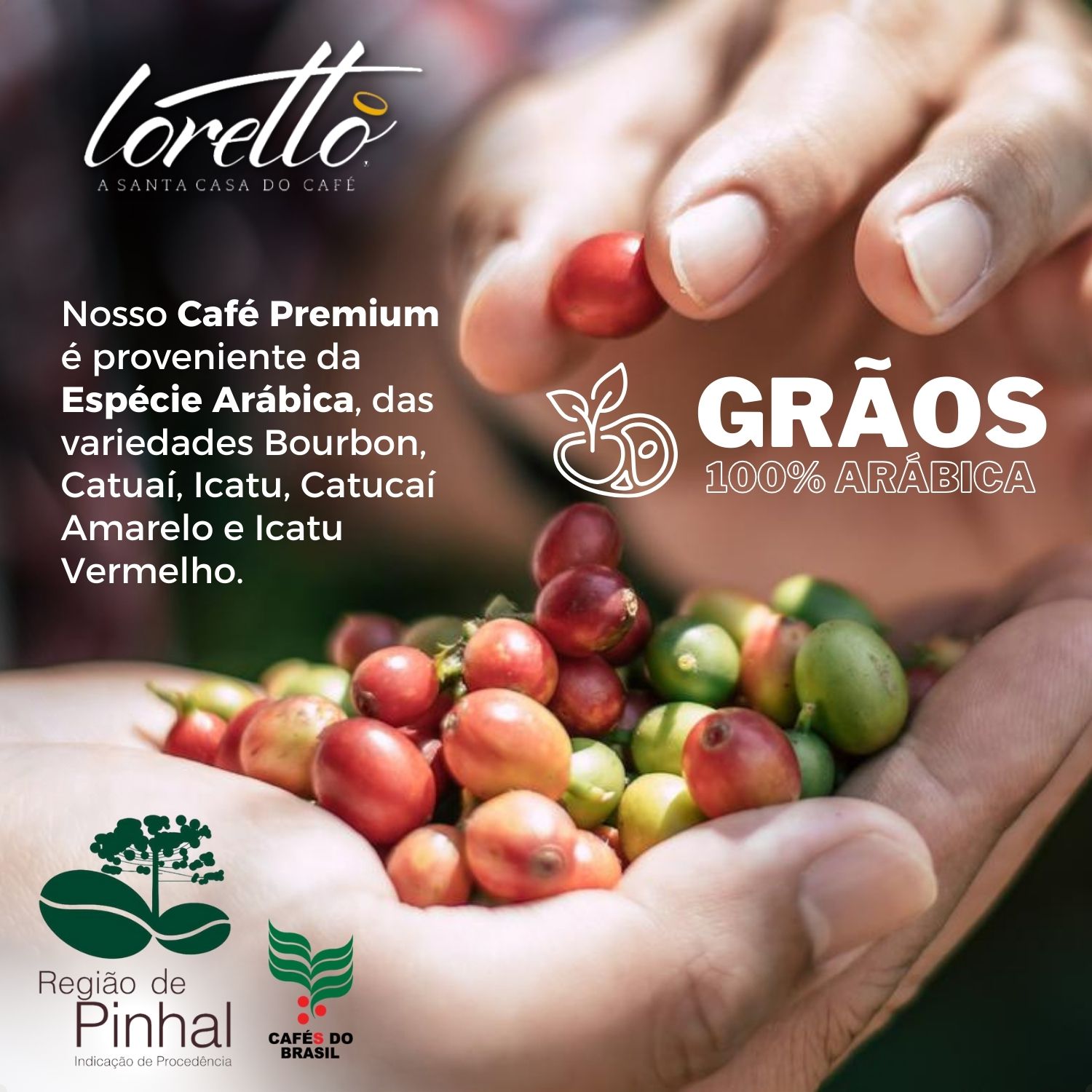 Café em Grãos Torrado e Moído Arábica Loretto Qualidade Superior ...