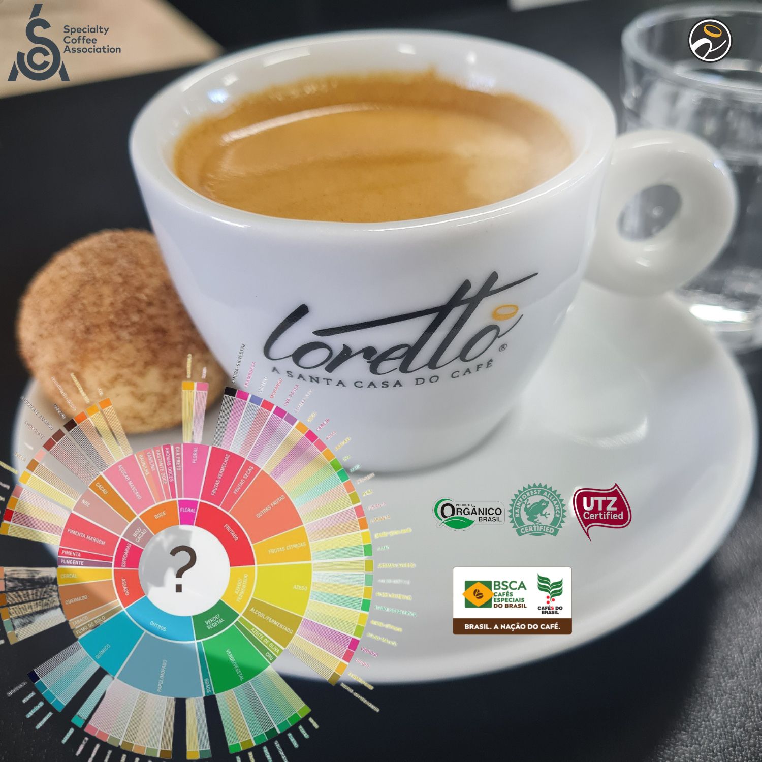Café em Grãos Arábica Loretto Qualidade Superior Pontuado Orgânico ...