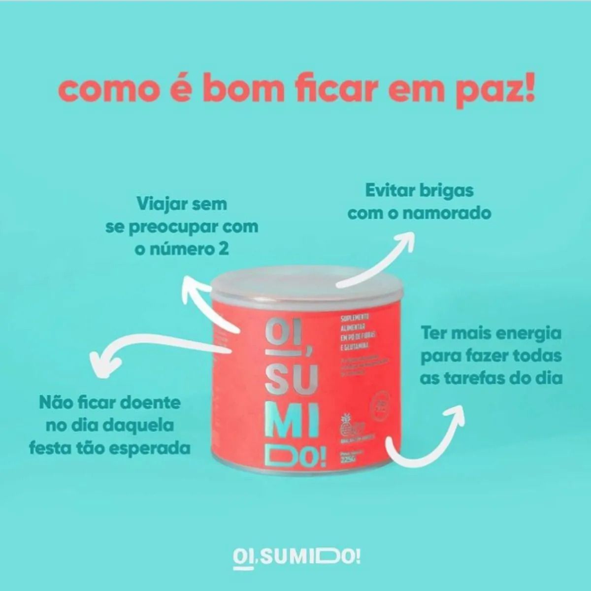 Oi Sumido Fibras Alimentares Pré/Probióticas Psyllium 225g - Natural do ...