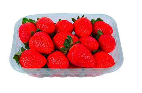 Bandeja para Morangos Frutas Capacidade 250gr cx c/1000 Unidades ...
