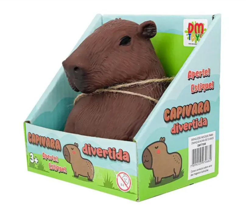 Capivara Divertida - Loja de Brinquedos e Produtos Terapêuticos