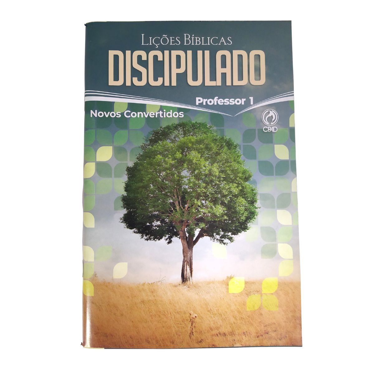 Discipulado Para Novo Convertido - BRAINCP