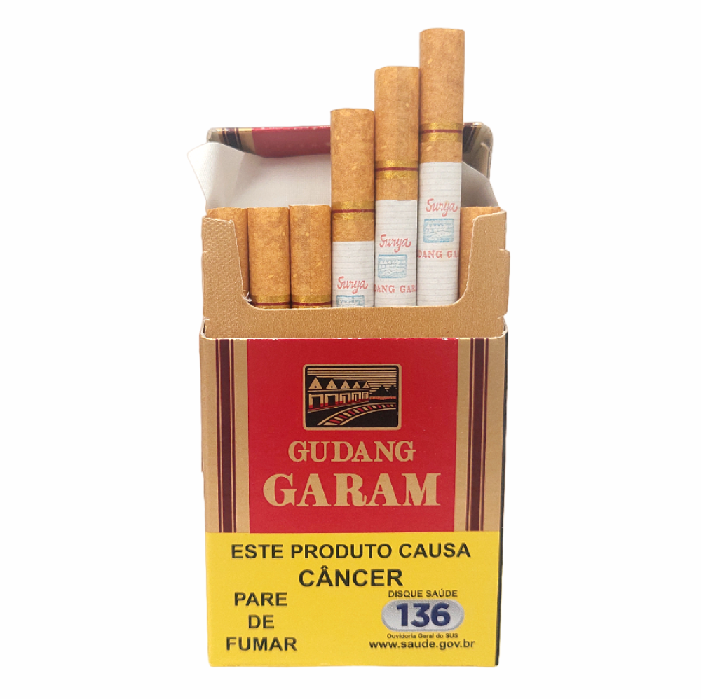 Cigarro Gudang Garam Professional Cravo - (Nacional) - Horus58 ...