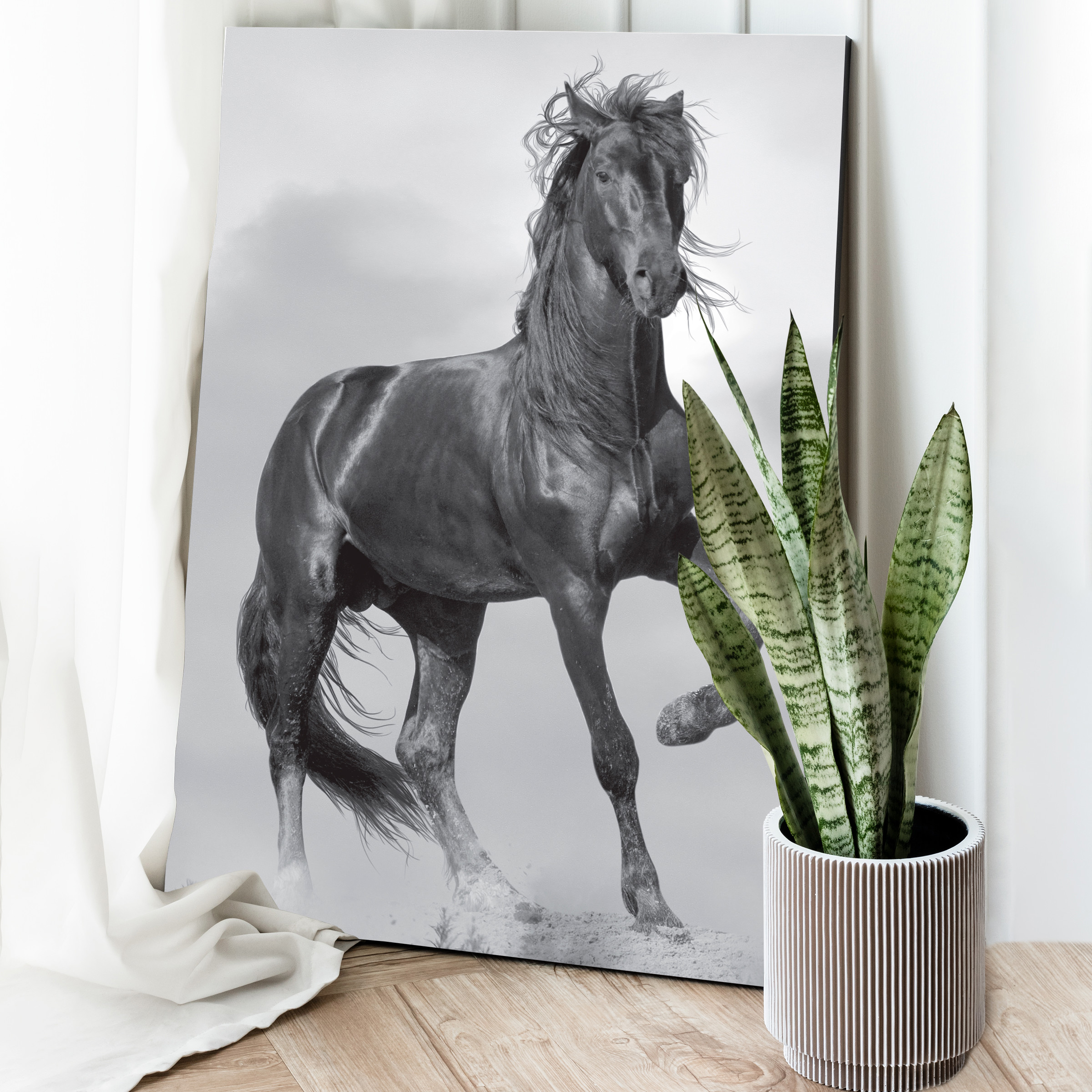 Quadro Decorativo Canvas Animal Cavalo Preto e Branco Vertical - Estilo ...