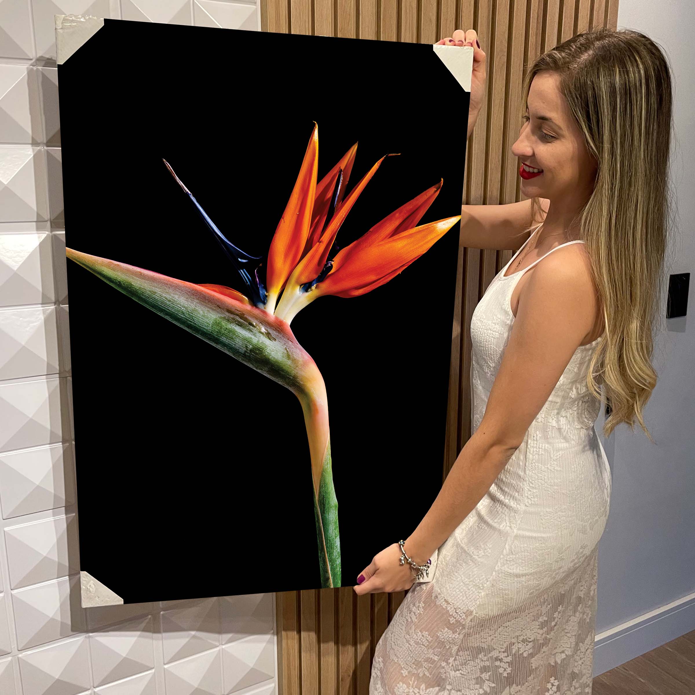 Quadro Decorativo Canvas Flor Strelitzia reginae Ave do paraíso - Estilo Arte Design