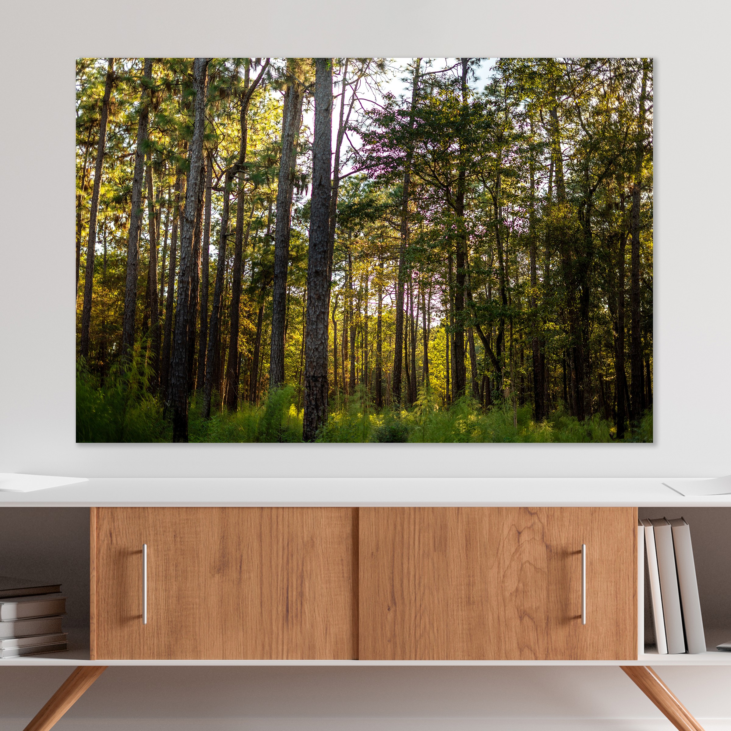 Quadro Decorativo Canvas Paisagem com Árvores Grandes na Floresta ...