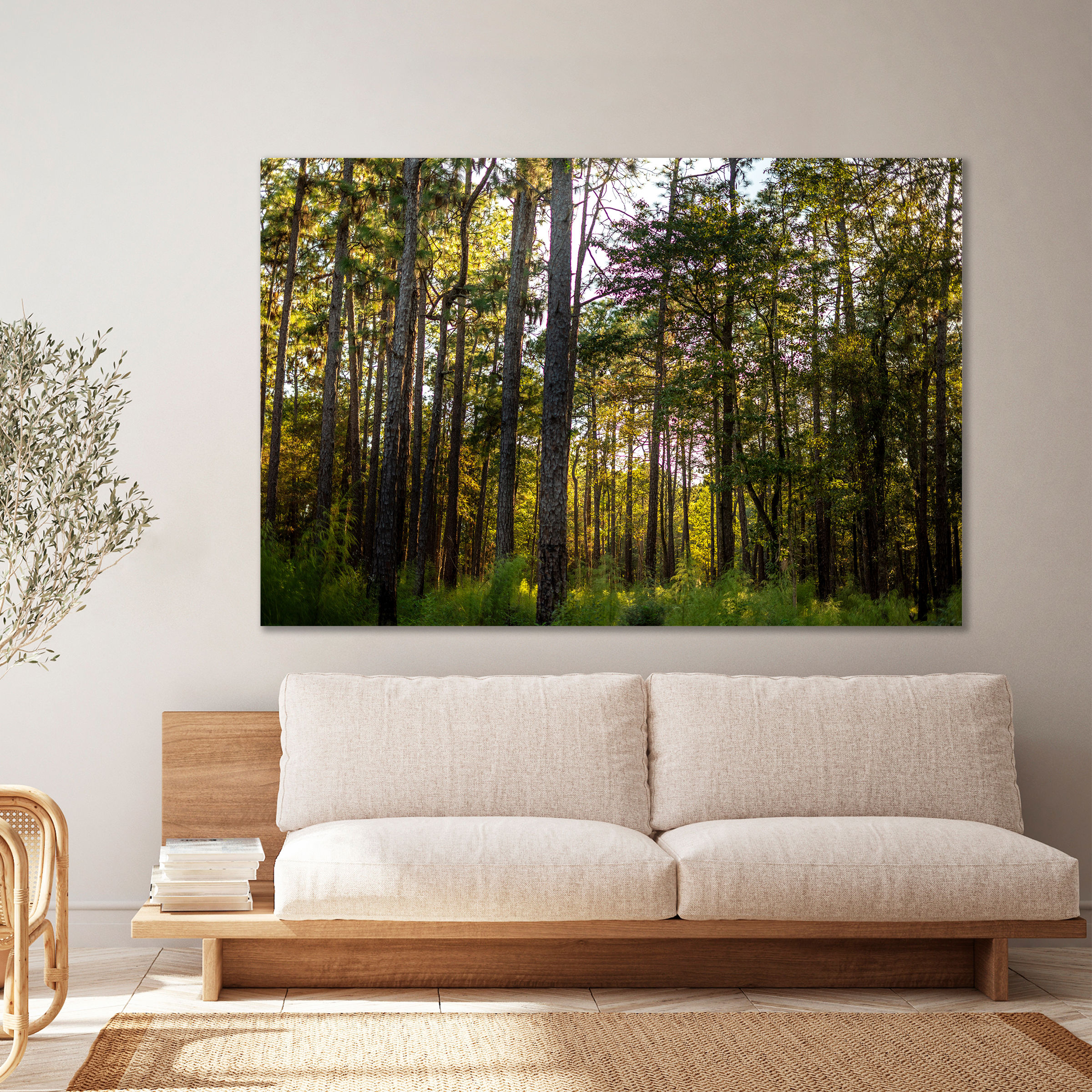 Quadro Decorativo Canvas Paisagem com Árvores Grandes na Floresta ...