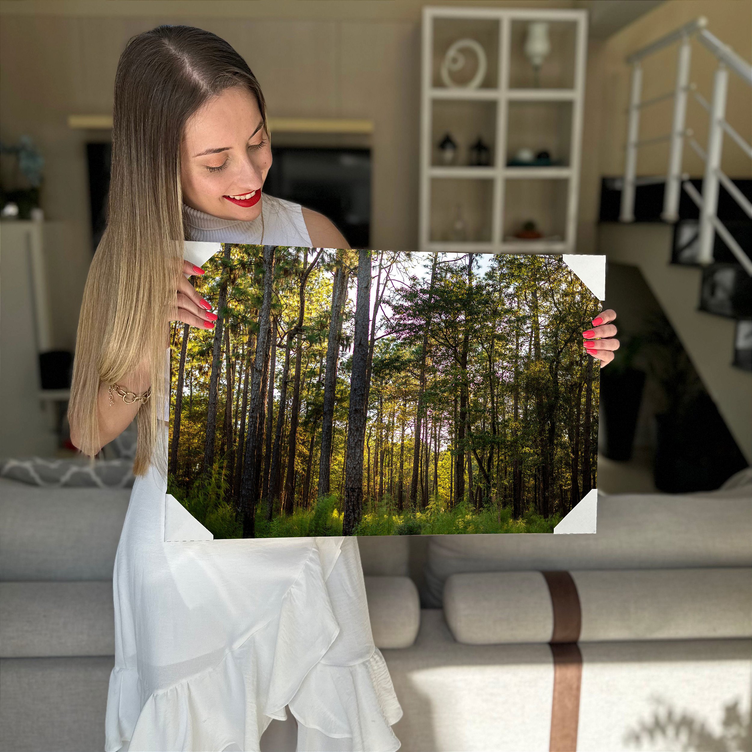 Quadro Decorativo Canvas Paisagem com Árvores Grandes na Floresta ...