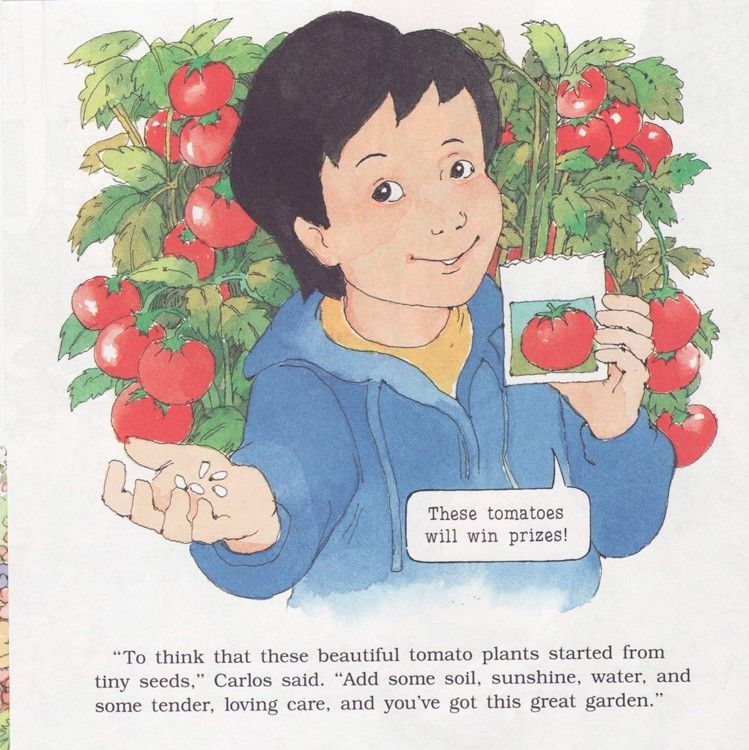 the magic school bus plants seeds - Books & Toys