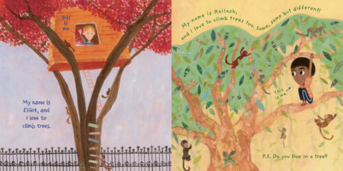 same same but different - Books R Toys