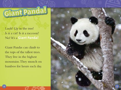 national geographic kids readers pandas - Books R Toys