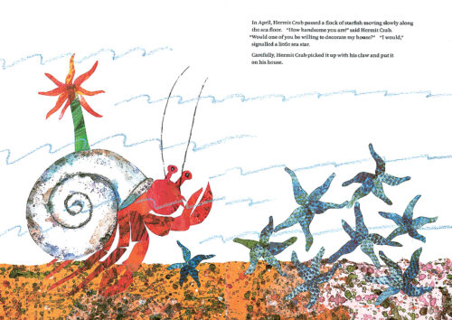 a house for hermit crab - Books R Toys