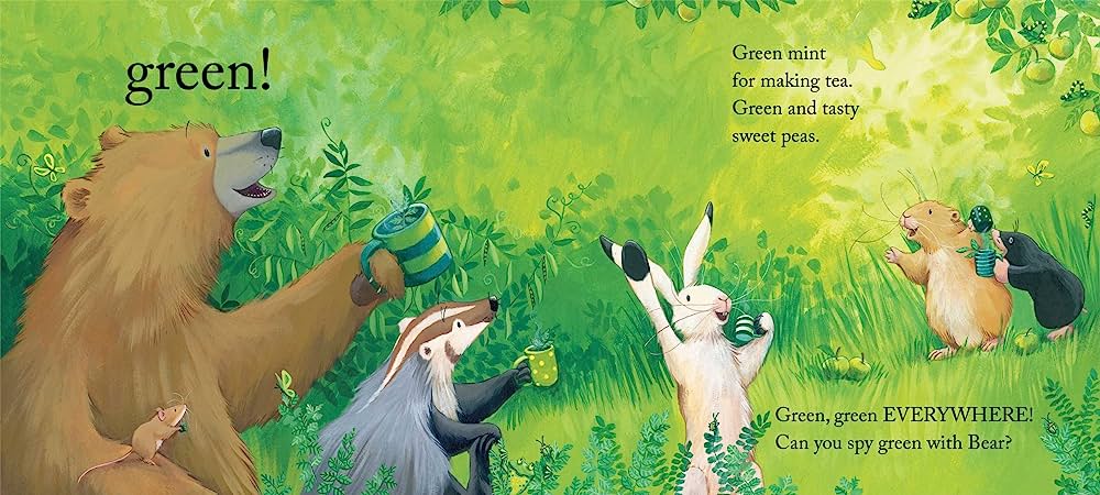 bear sees colors - Books R Toys