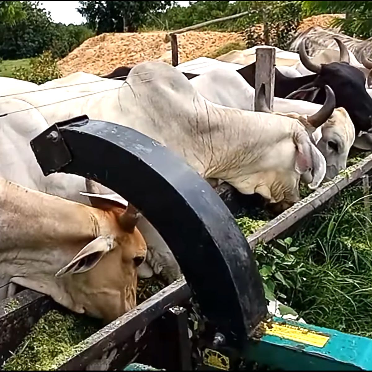 Ensiladeira Garthen Gte-2000n 44979.0 Base Externa com Motor a Gasolina Branco 7hp 212cc 4t Eg3 ...