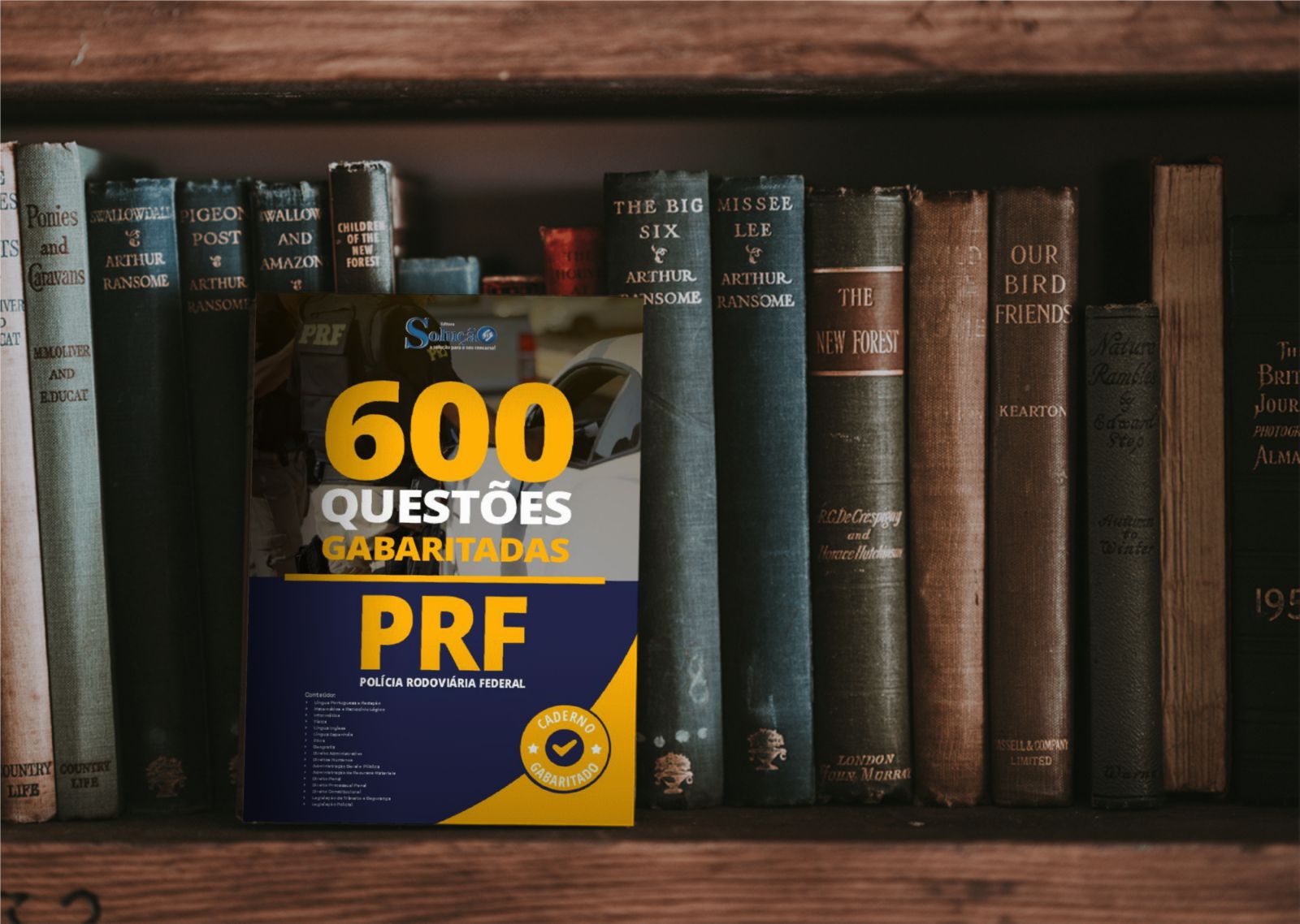 Apostila de Questões PRF - 600 Questões Gabaritadas - Polícia ...