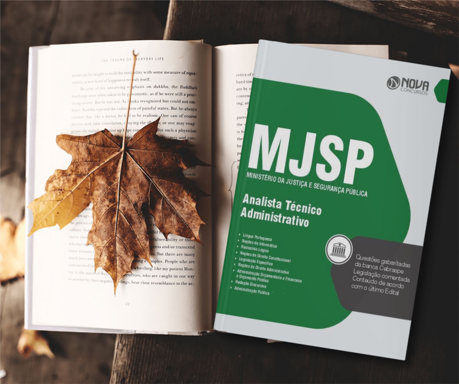 Apostila MJSP - Analista Técnico Administrativo Ministério da Justiça ...