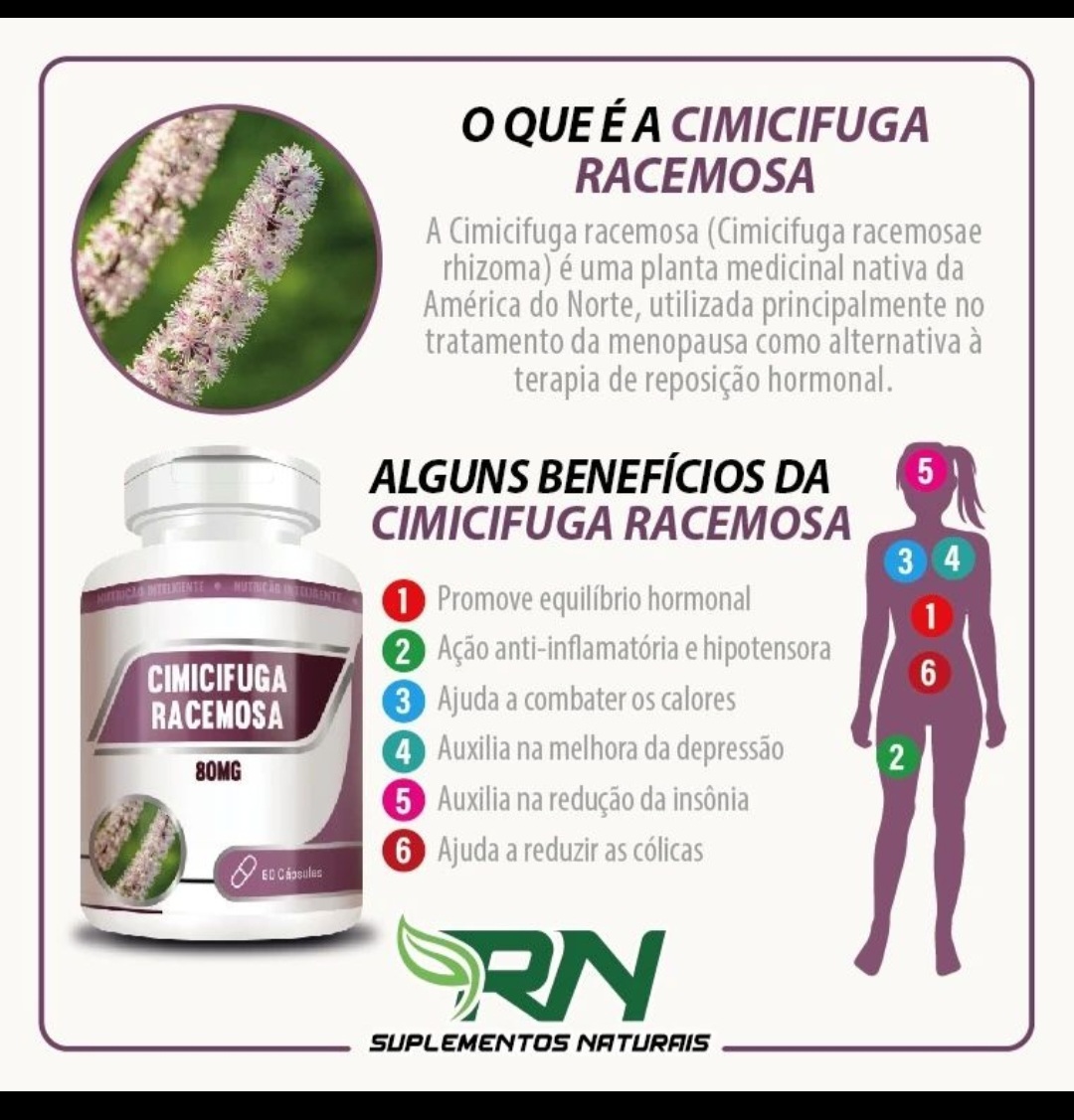 Cimifuga Racemosa - 60 cápsulas - Hiltonfito Produtos Naturais