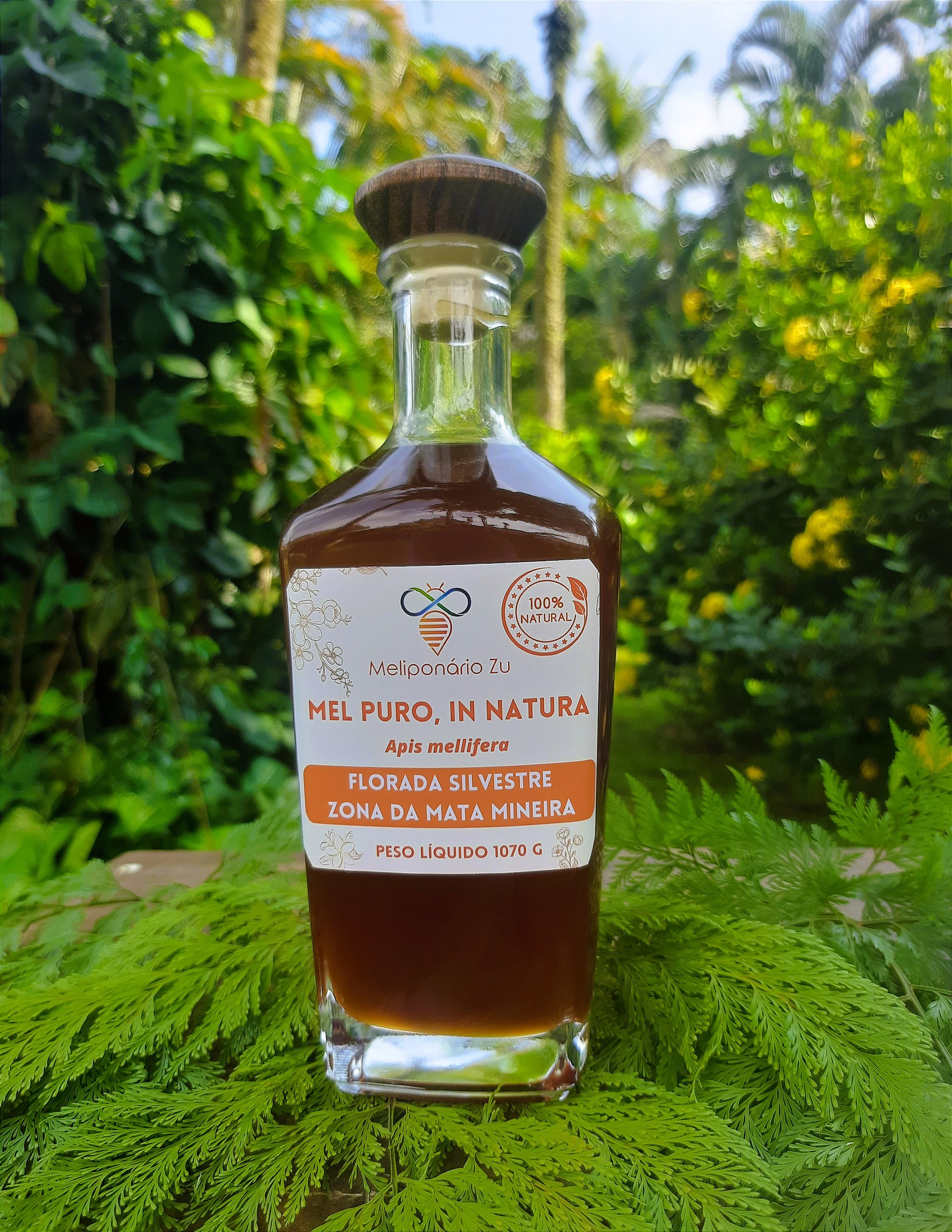 Mel Puro, Florada Silvestre, In Natura, 100% Natural, Cru, Sem ...