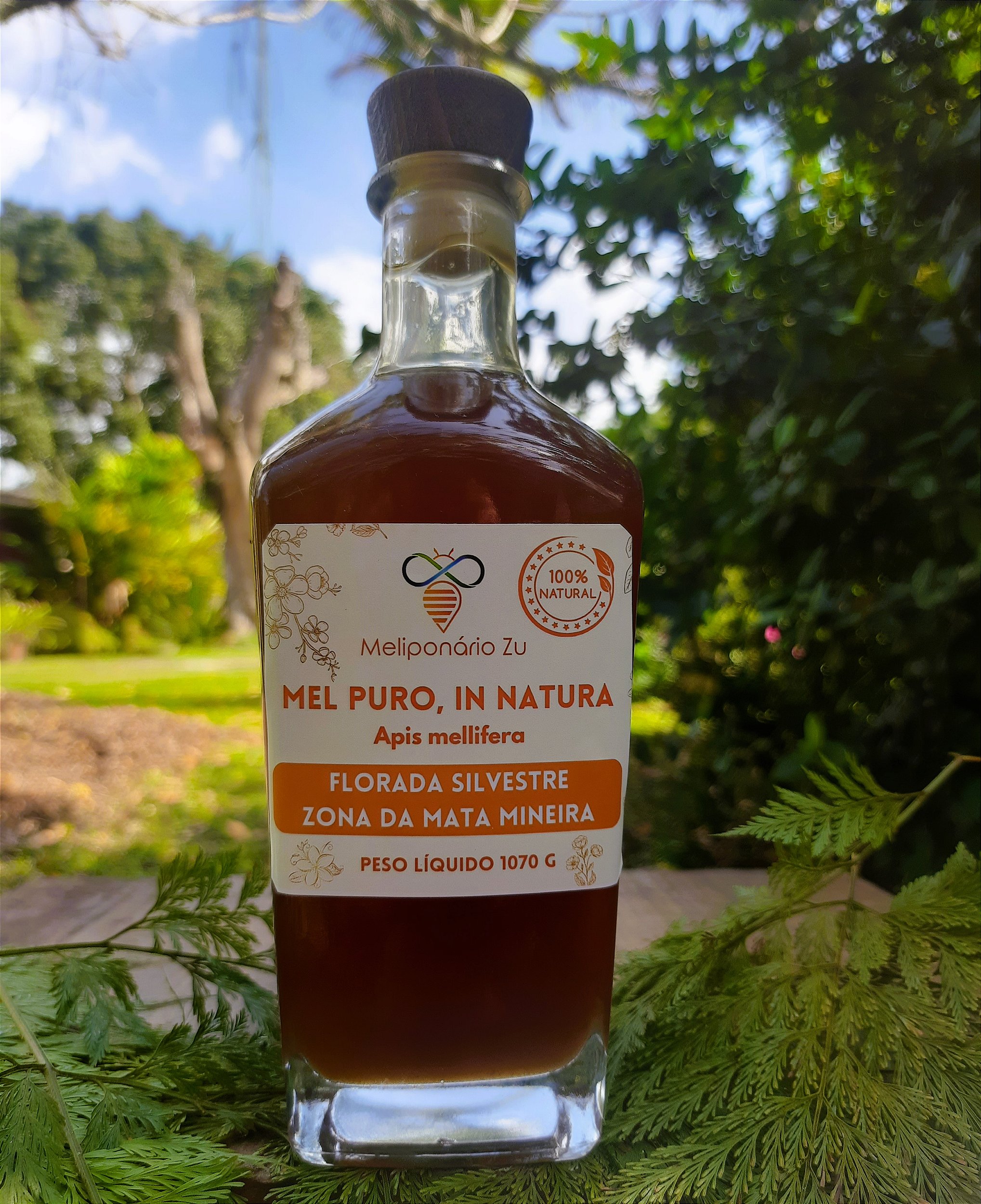 Mel Puro, Florada Silvestre, In Natura, 100% Natural, Cru, Sem ...