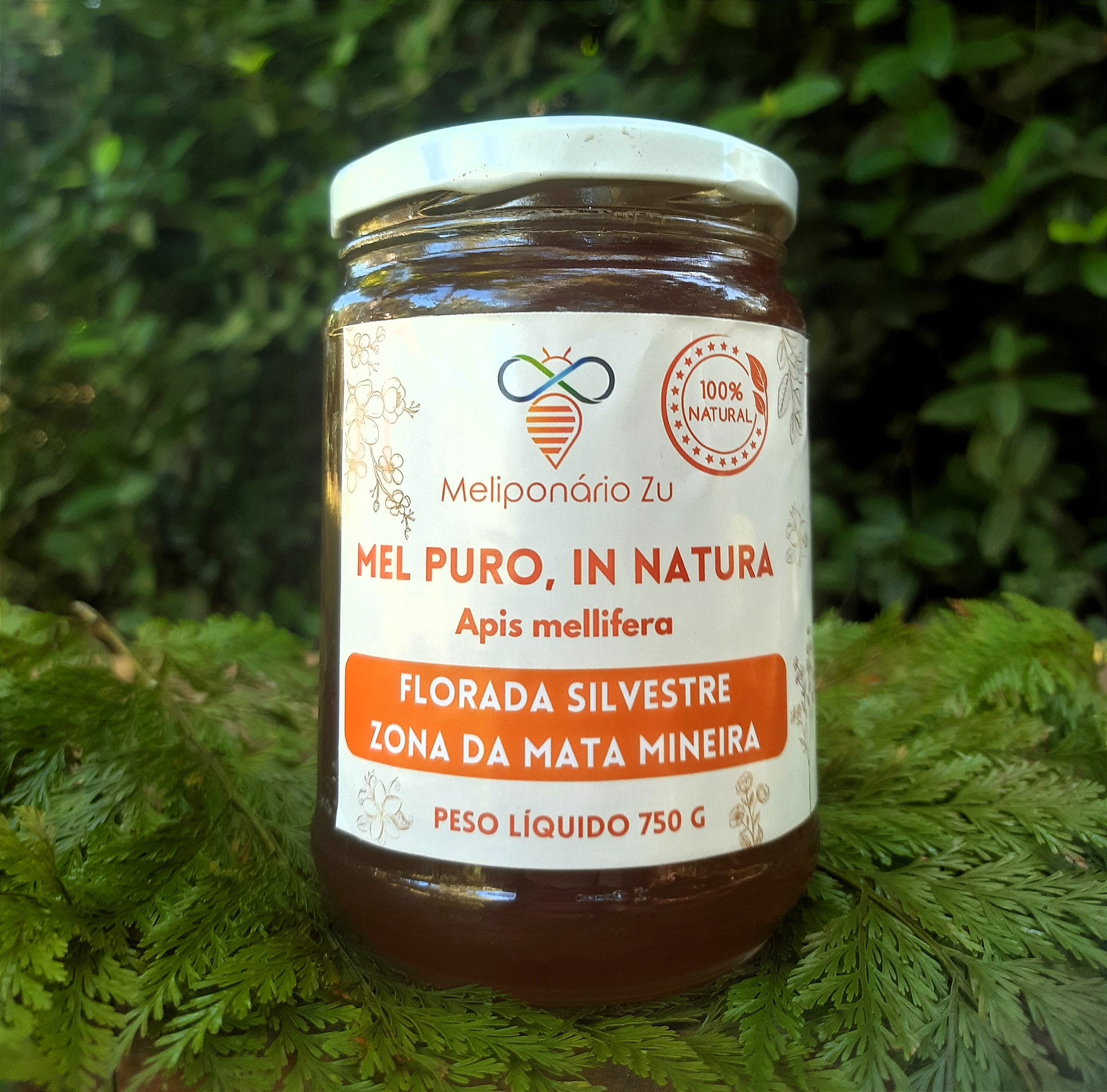 Mel Puro, Florada Silvestre, In Natura, 100% Natural, Cru, Sem ...