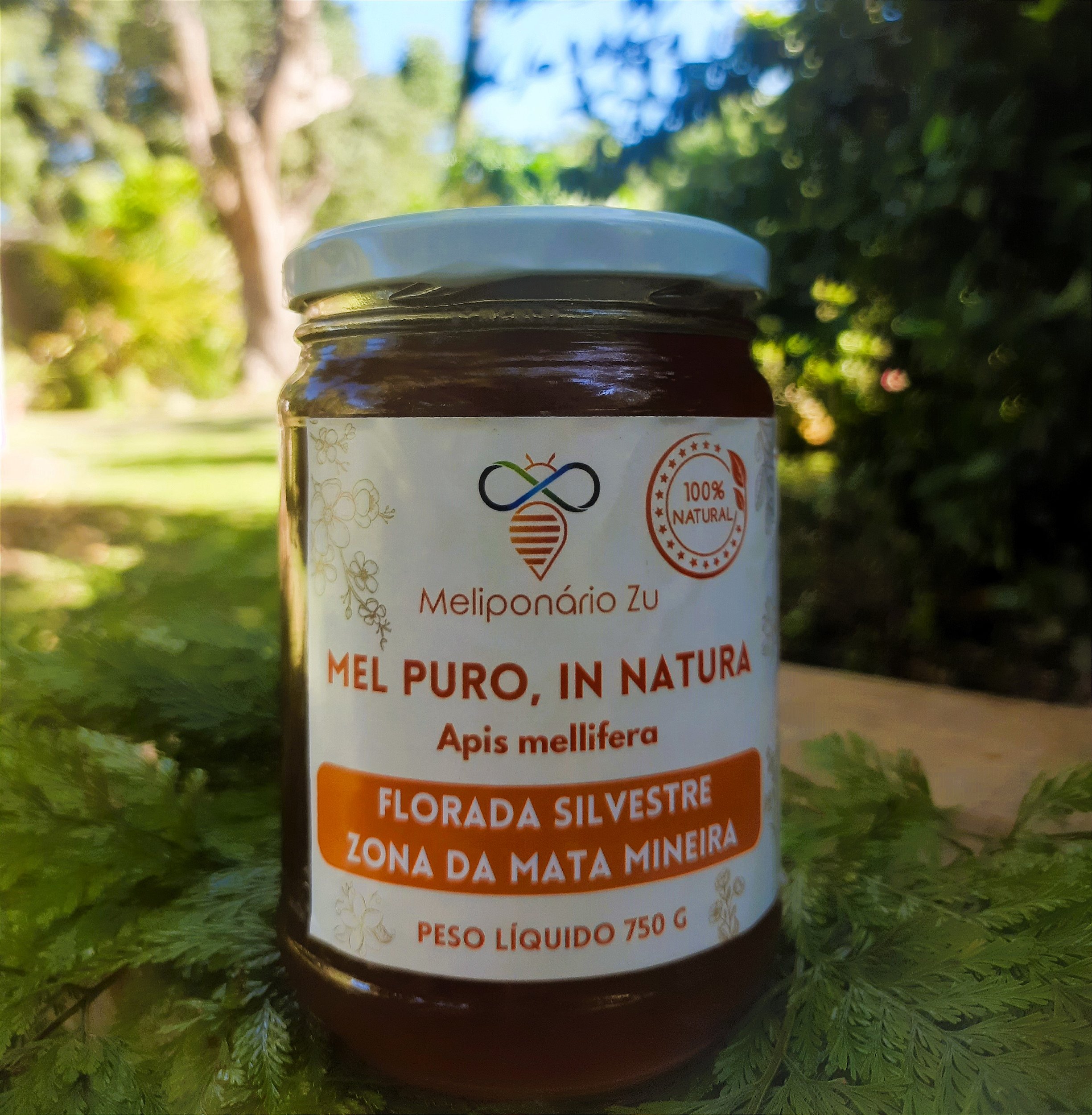 Mel Puro, Florada Silvestre, In Natura, 100% Natural, Cru, Sem ...