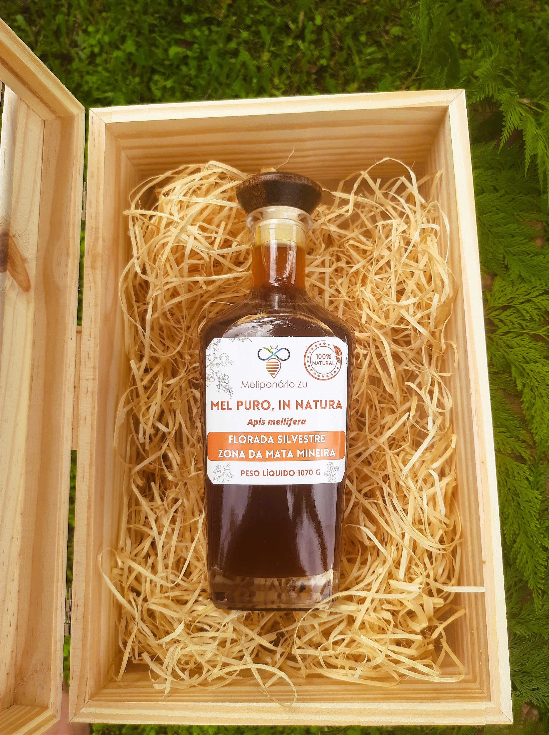 Mel Puro, In Natura, 100% Natural, Cru, Sem Aquecimento - 1070 gramas ...