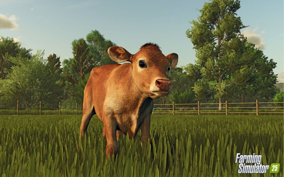 Farming Simulator 25 Conjunto ano 1 - Xbox Series S/X - Midia Digital ...