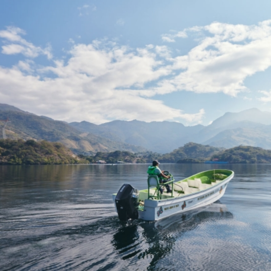 Motor de Popa Mercury 115 L EFI CT Sea Pro 4 Tempos - BacaNáutica - Sua ...