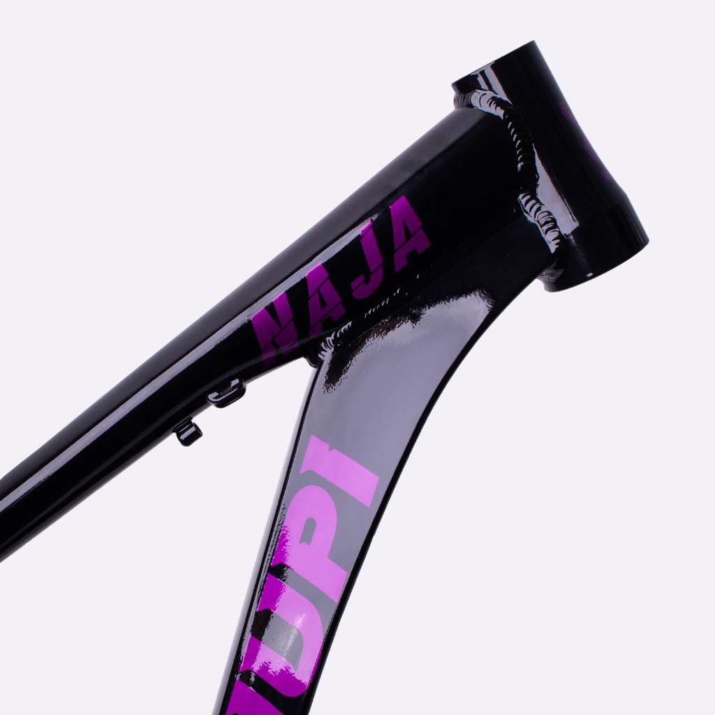 QUADRO HUPI NAJA V9 PRETO/ROXO HORIZONTAL - HUPI BIKES - Torino Bikes