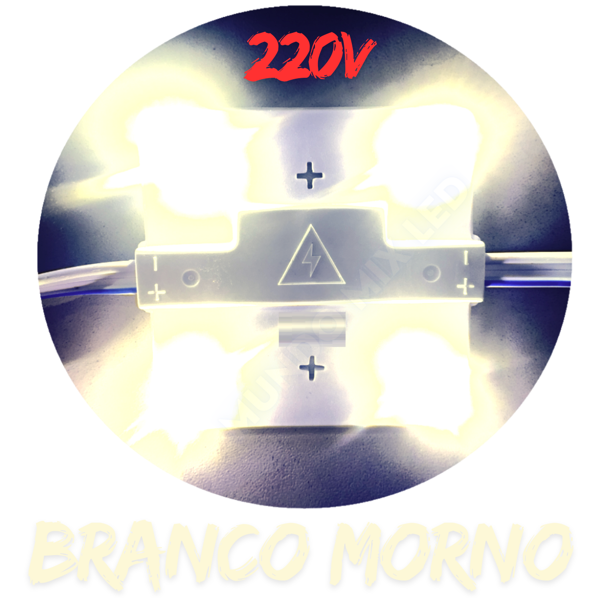 Módulo LED 6X6 AC-220V 4W 4-LEDs Branco Morno 4000k IP67 Direto Na Ene ...