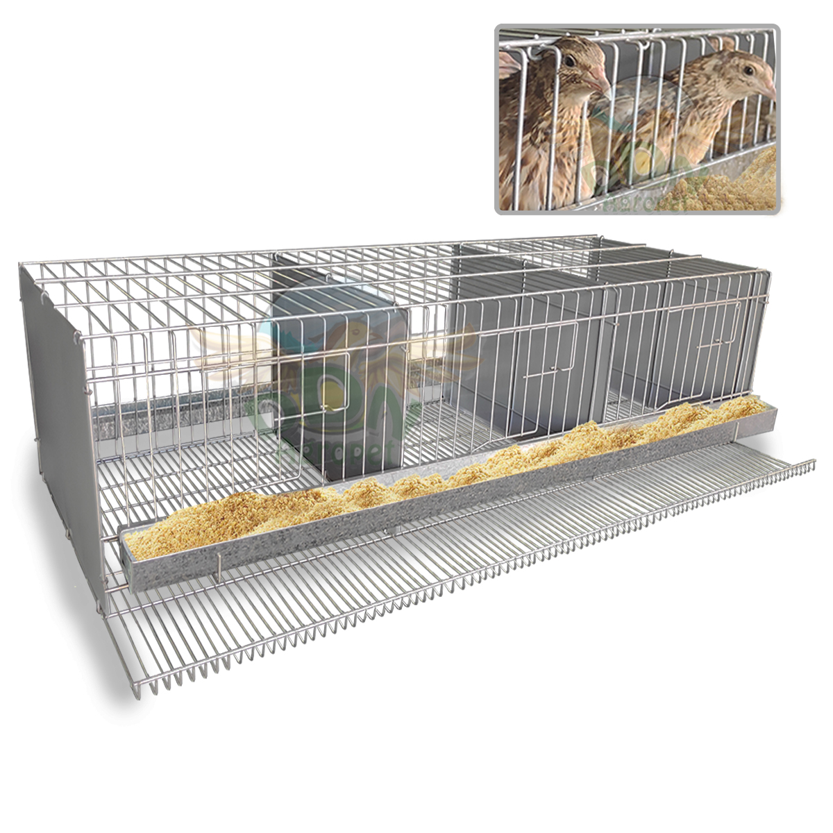 Kit 3 Gaiola Codorna Gigante Viveiro Poedeira Total 72 Aves - DDN AGROPETS