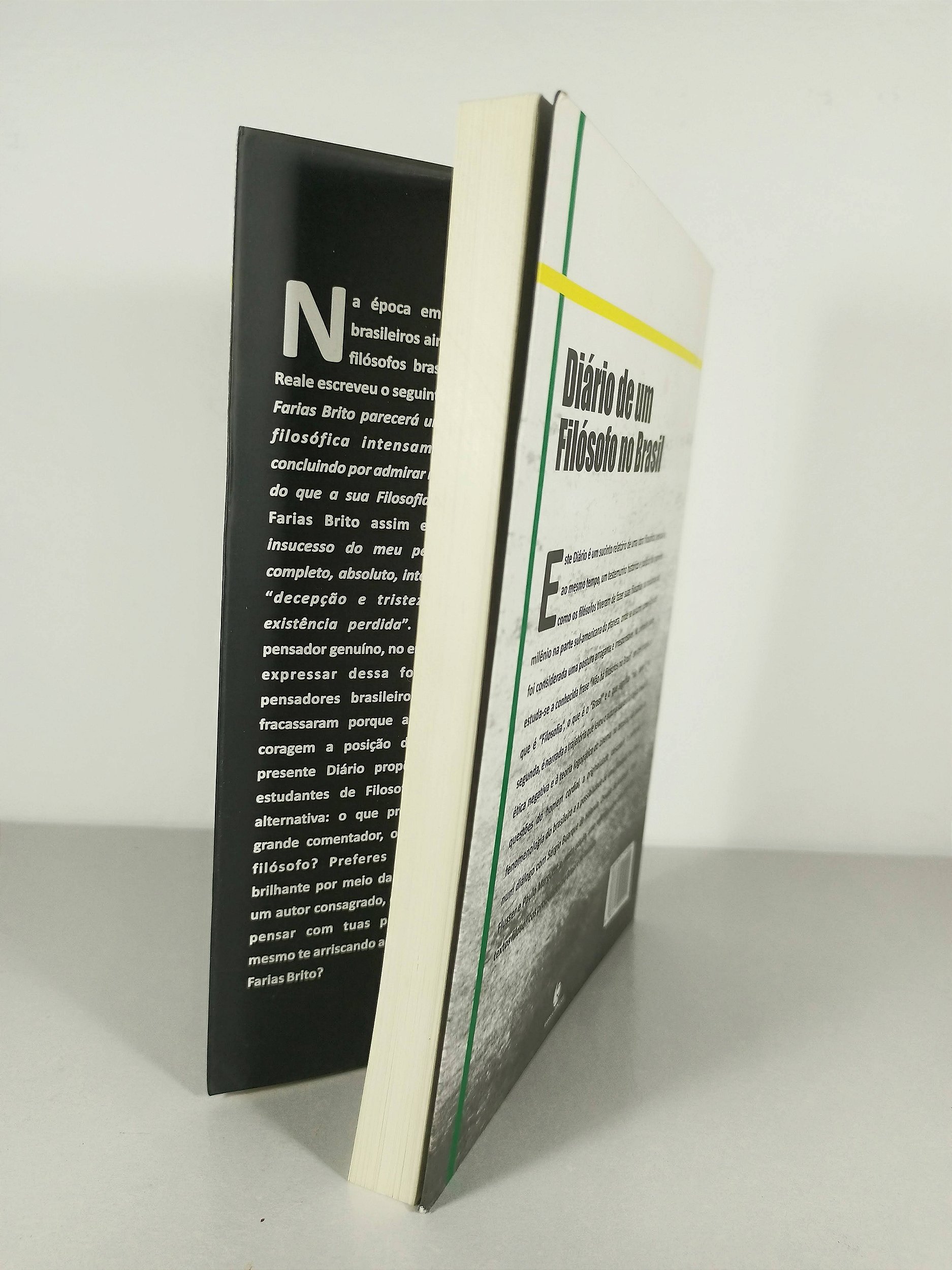 Diário De Um Filósofo no Brasil - Julio Cabrera - Livraria Madeleine