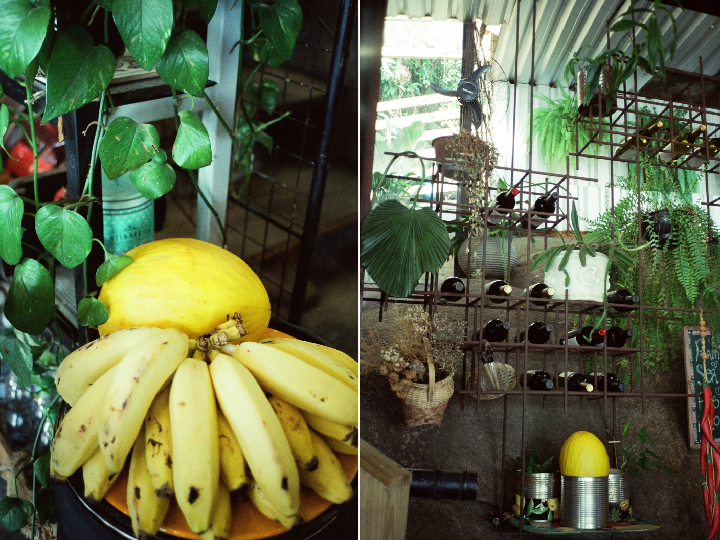 Filme 35mm - Kodak Vision3 200T/5213 - ISO 200 - Novo - 30 poses - Foto ...