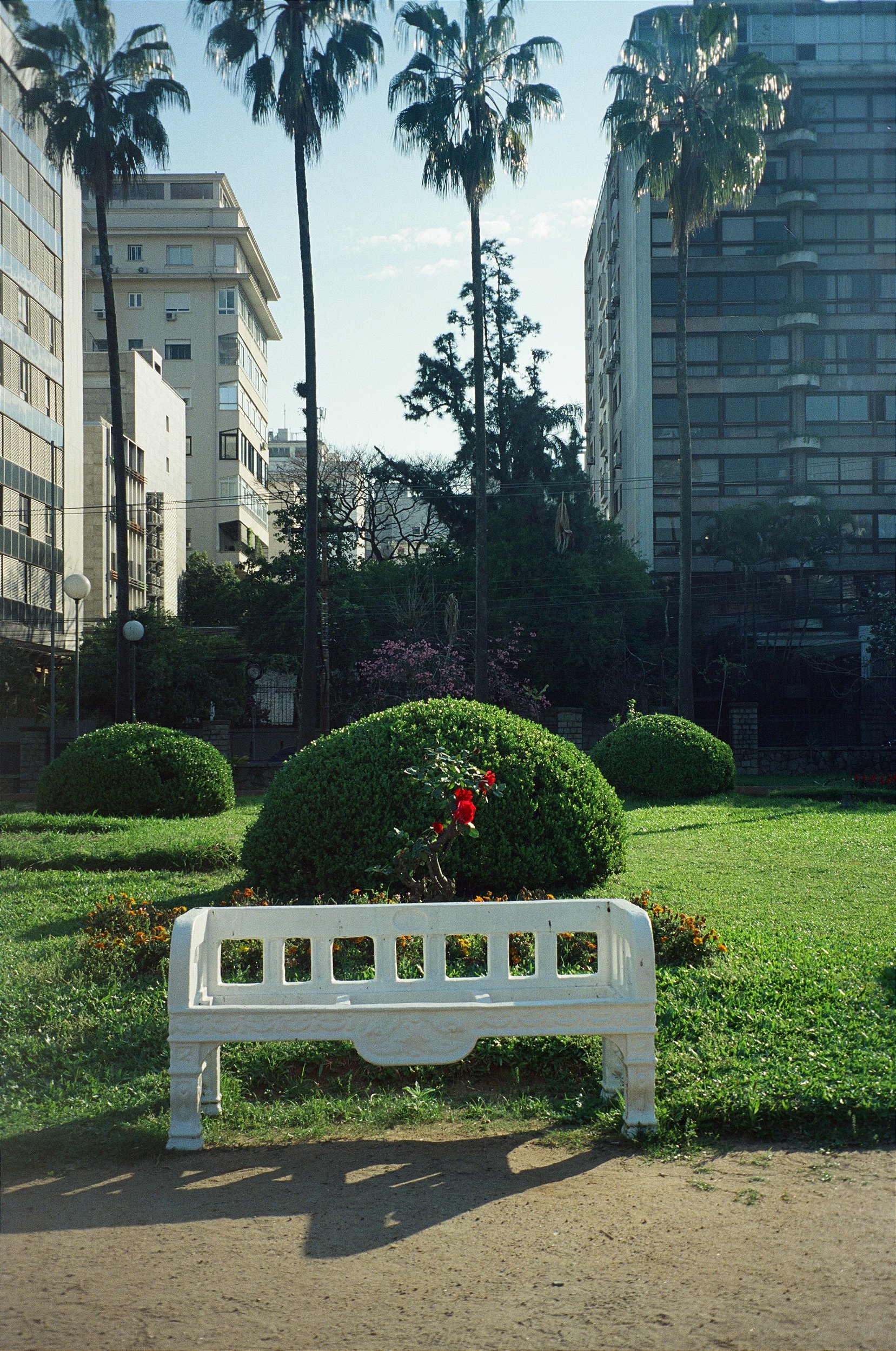Filme 35mm - Kodak Vision3 200T/5213 - Novo - ISO 200 - 12 poses - Foto ...