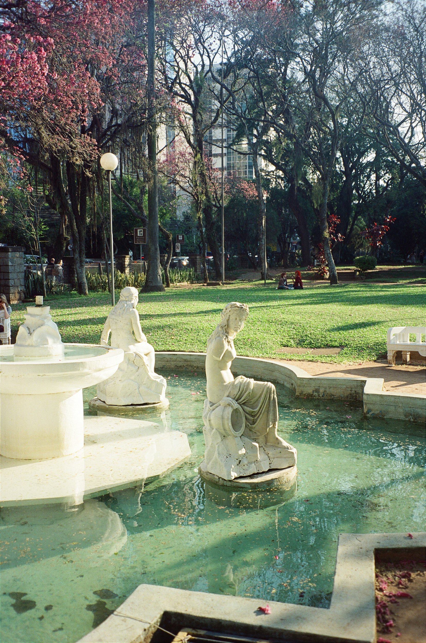 Filme 35mm - Kodak Vision3 200T/5213 - Novo - ISO 200 - 12 poses - Foto ...